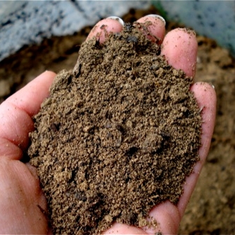 Different Types of Topsoil | Information on Topsoil Types