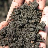 Different Types of Topsoil | Information on Topsoil Types