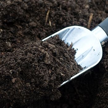 BS3882 Certified Topsoil | What is it and Where to Buy